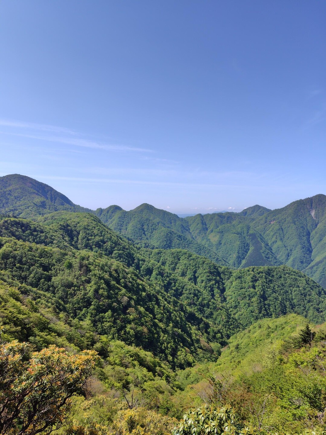 11.1km 絵瀬尾根~姫次~袖平山~風巻ノ頭 2024/5/17 / tamiさんの塔ノ岳・丹沢山・蛭ヶ岳の活動データ | YAMAP / ヤマップ