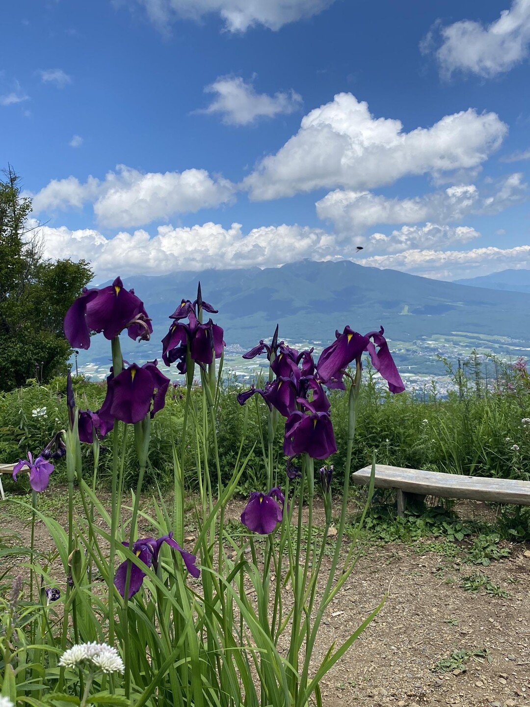アカノラ山・入笠山 / MASAPさんの入笠山の活動データ | YAMAP / ヤマップ