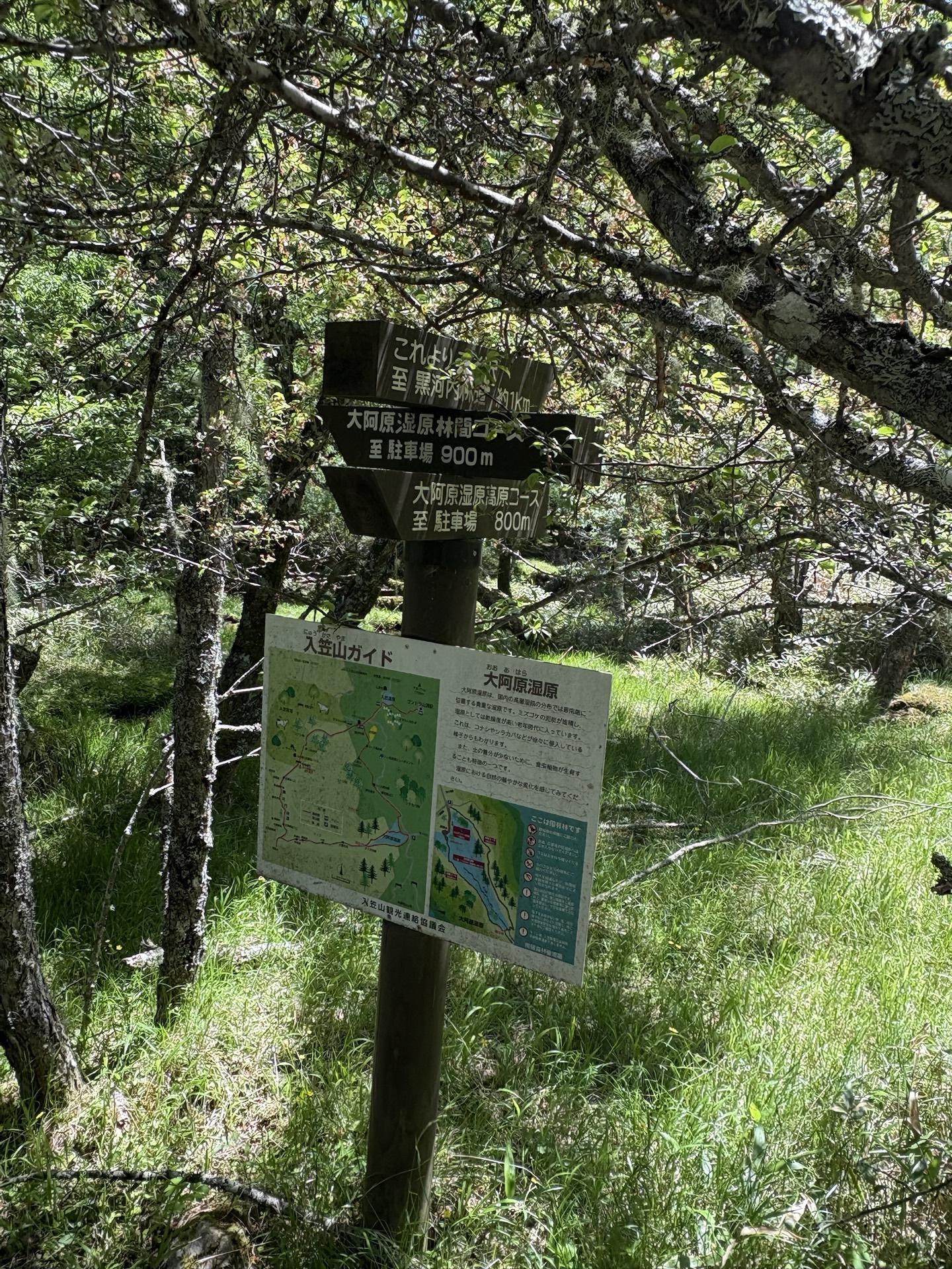 hideshanさんの投稿したフィールドメモ | YAMAP / ヤマップ