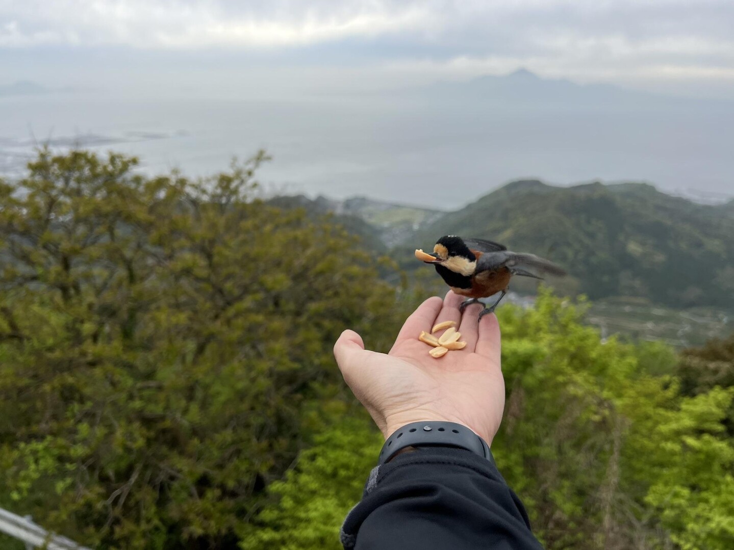 やっと会えた😆💕金峰山 / 4Cさんの金峰山・二ノ岳・三ノ岳の活動日記 | YAMAP / ヤマップ