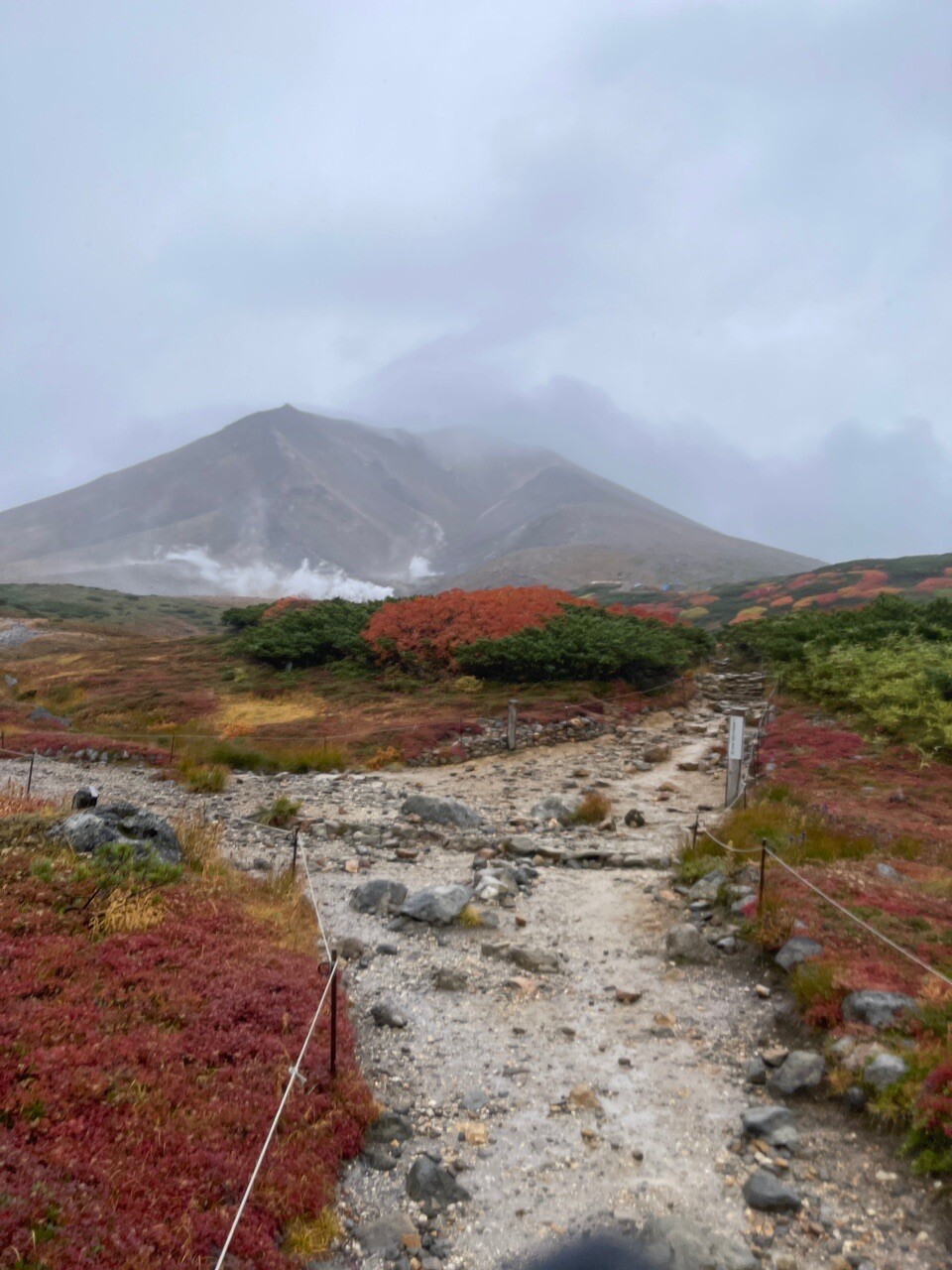 旭岳 カムイミンタラ / ニラ玉さんのGT3 1の活動データ | YAMAP / ヤマップ