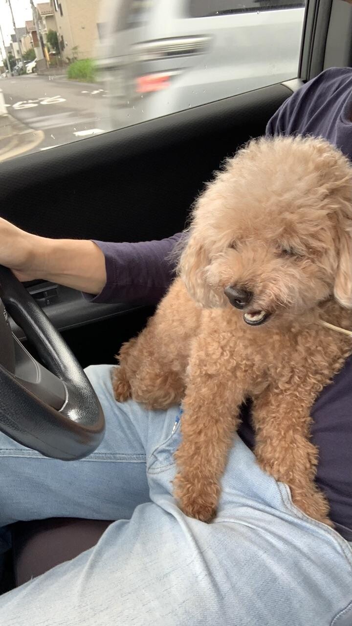 En.のページ | YAMAP / ヤマップ