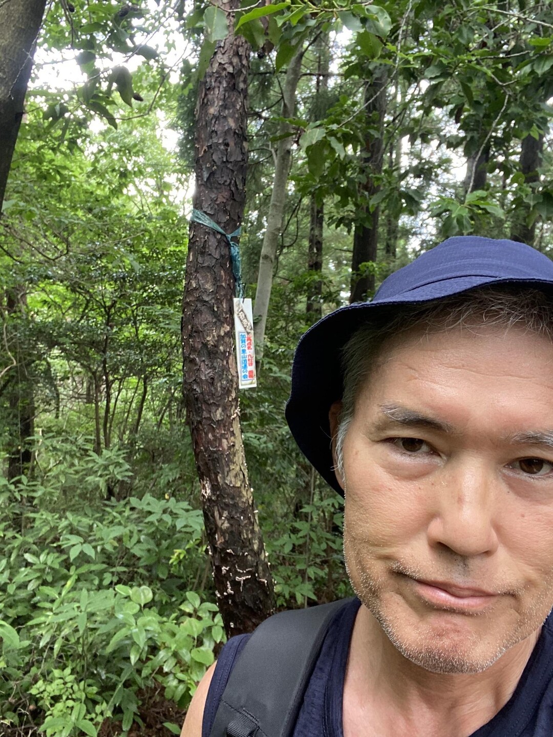 遣水観音山 ソロ / yasuyasuさんの遣水観音山・遊泉寺砂山・高野山の活動データ | YAMAP / ヤマップ