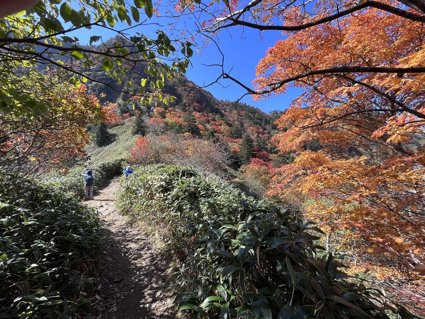 前社ヶ森・剣山・石鎚山 / seiさんの石鎚山・堂ヶ森・二ノ森の活動データ | YAMAP / ヤマップ
