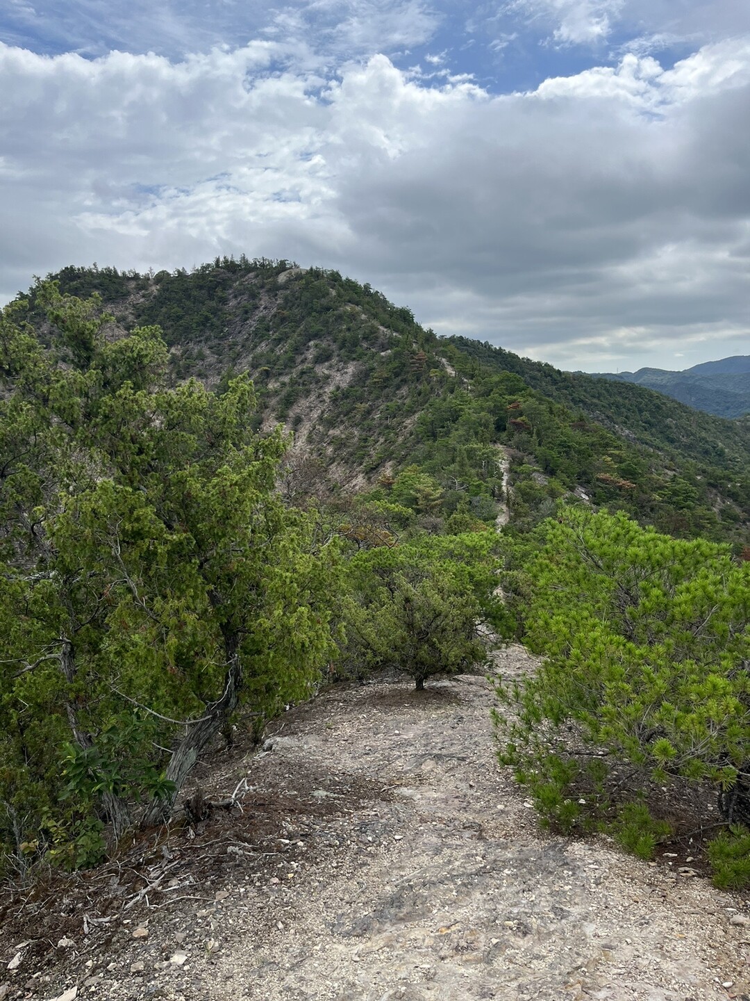 和気富士・観音山・穂高山・竜王山 / kyoroさんの和気アルプス・和気富士・神ノ上山の活動データ | YAMAP / ヤマップ