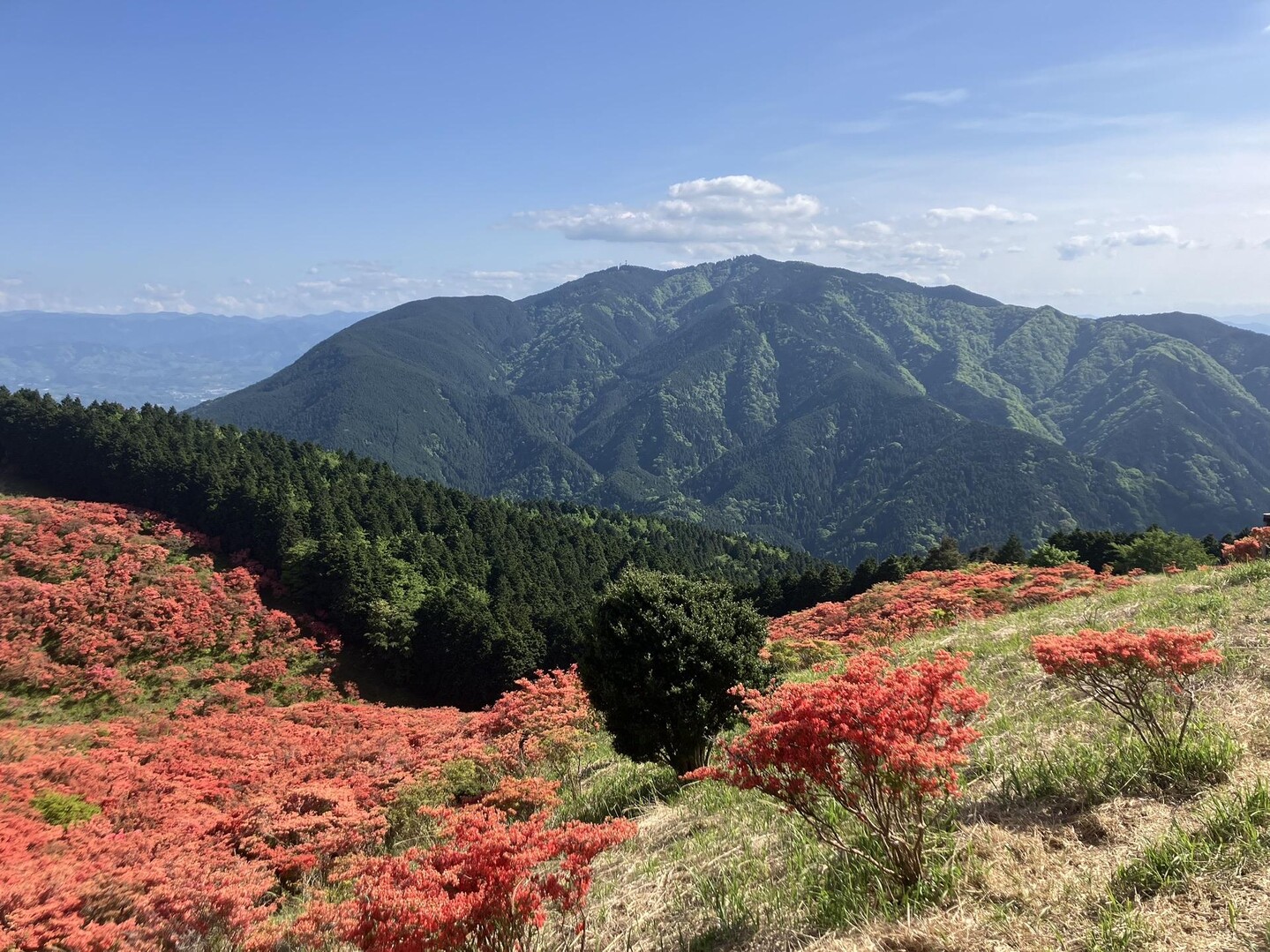 二上山〜大和葛城山⛰️プレ秋のダイヤモンドトレイル🥾 / dokkunさんの金剛山・二上山・大和葛城山の活動データ | YAMAP / ヤマップ