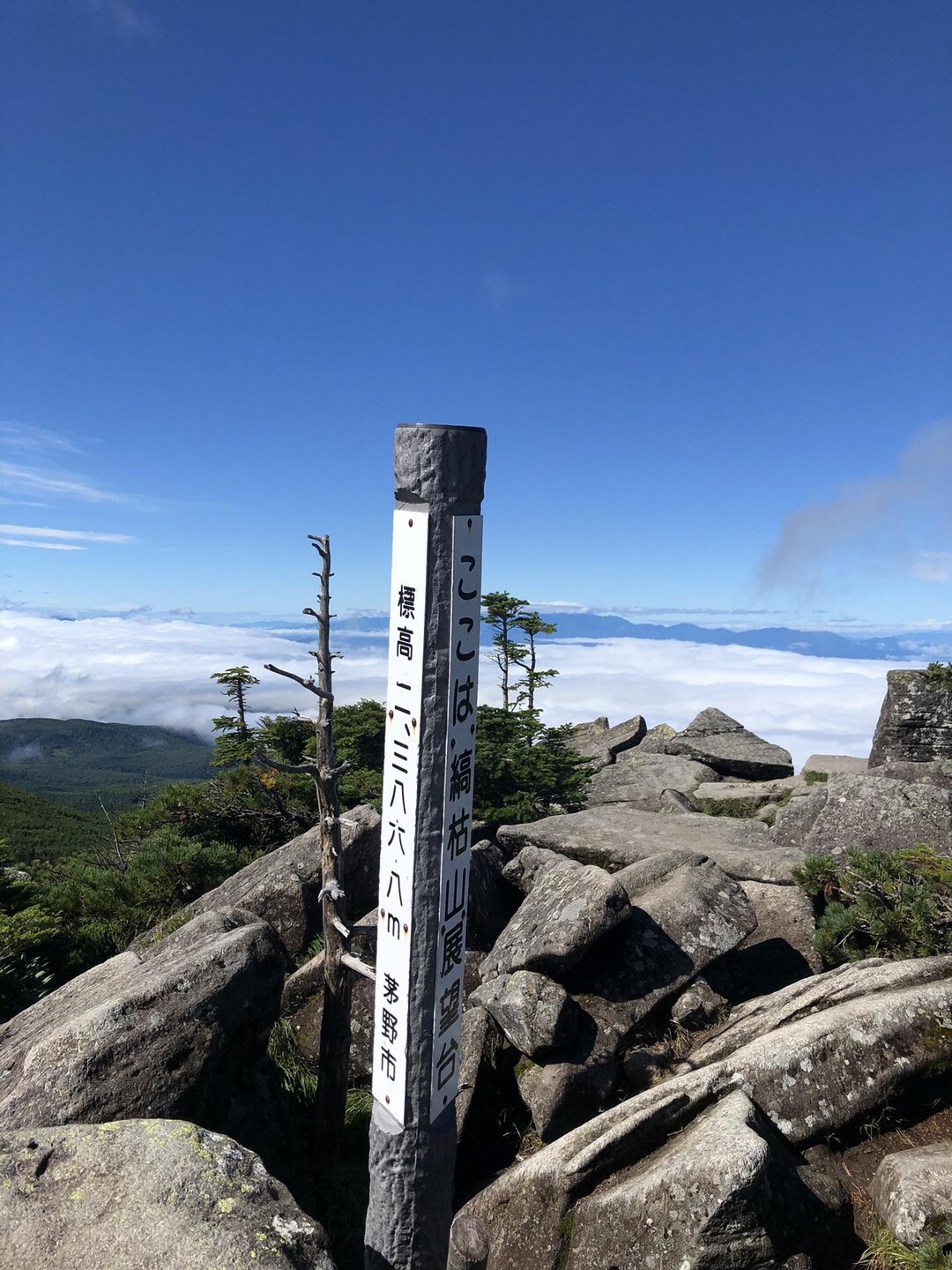 中小場・茶臼山・縞枯山 / Doraさんの蓼科山・横岳・縞枯山の活動データ | YAMAP / ヤマップ