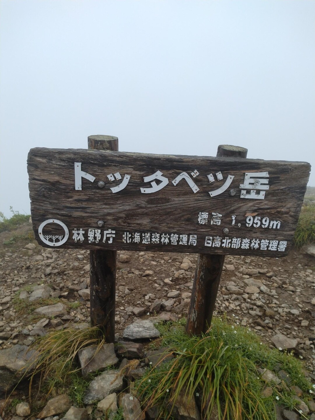 🌟ヌカビラ岳→北戸蔦別岳→戸蔦別岳 / JUNさんの幌尻岳・戸蔦別岳・伏美岳の活動データ | YAMAP / ヤマップ
