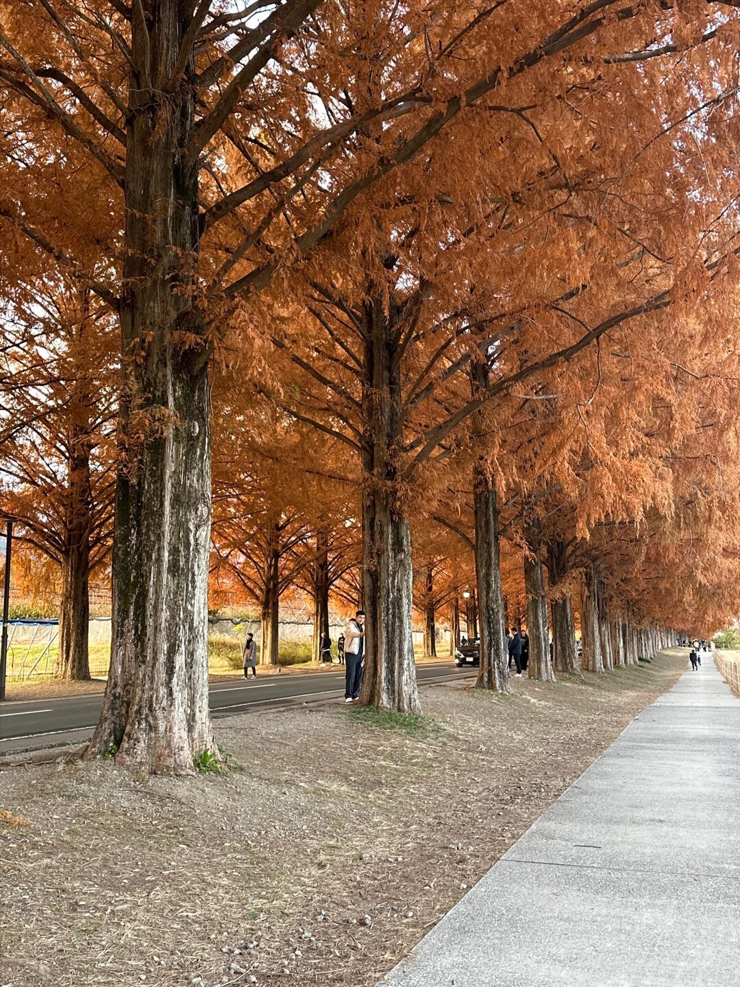 赤坂山・寒風・大谷山 / zakiさんの三国山・乗鞍岳・赤坂山の活動データ | YAMAP / ヤマップ