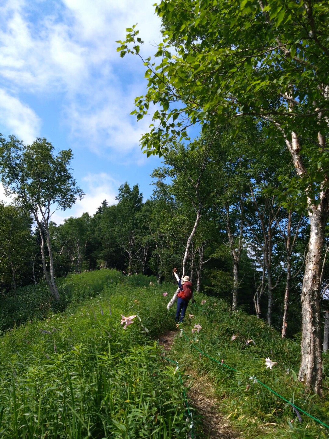 アルプスの少女になる旅R5年度版 / eikoさんの経ヶ岳・坊主岳の活動データ | YAMAP / ヤマップ