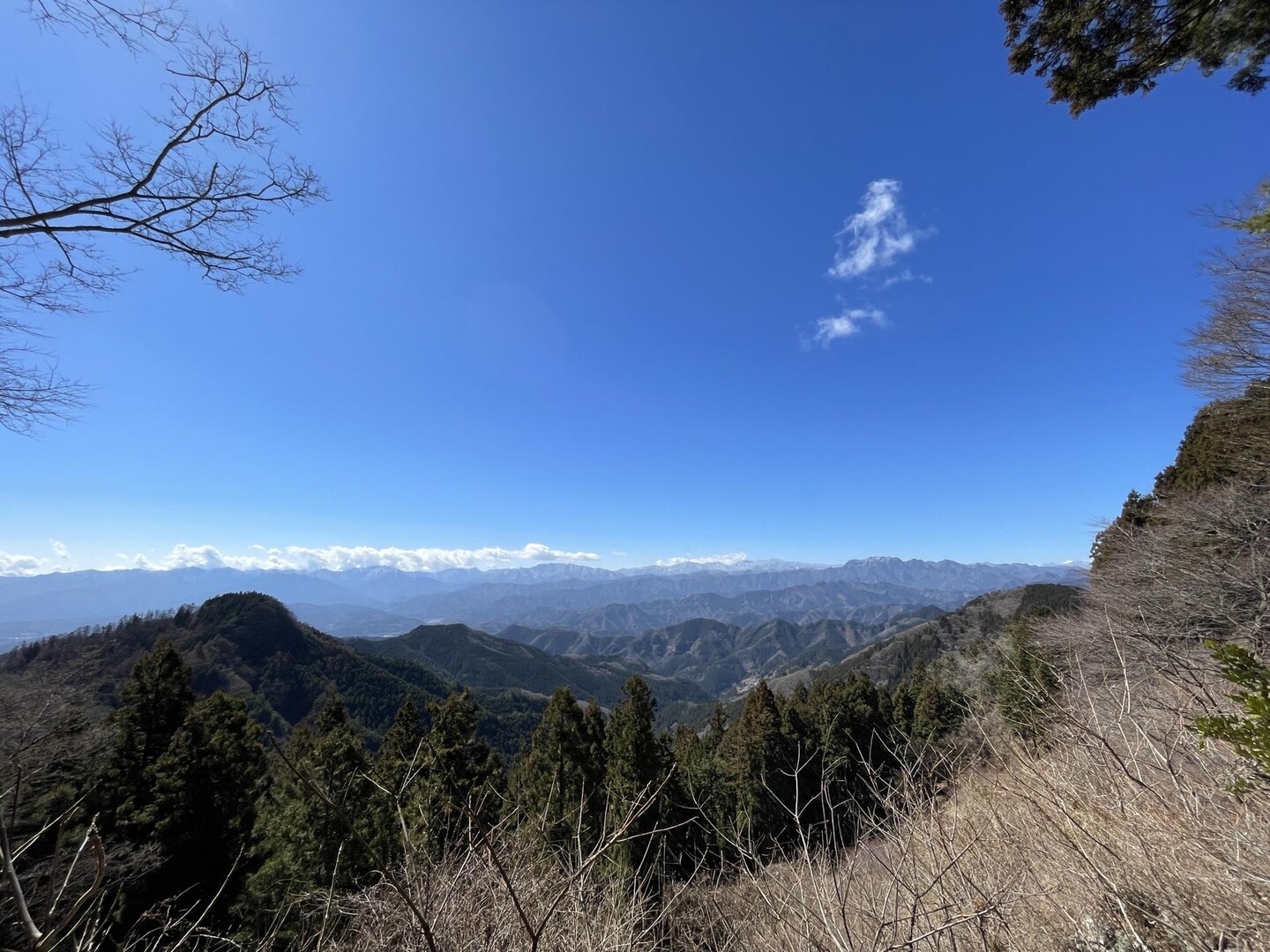 天狗岩・城峯山 / RED TOMさんの城峯山・破風山の活動データ | YAMAP / ヤマップ