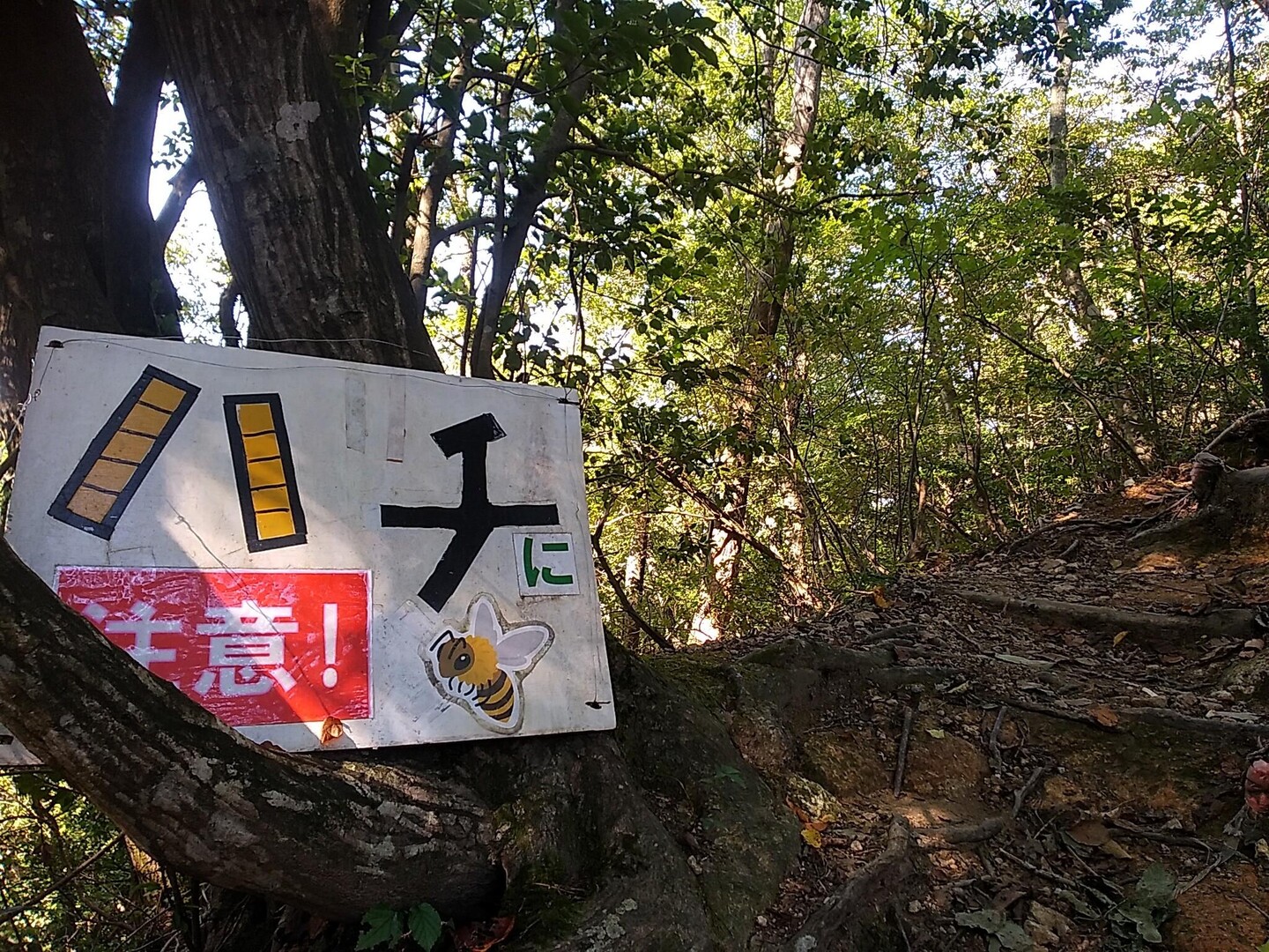 三床山 / opal糸さんの三床山・牧山・幸山の活動データ | YAMAP / ヤマップ