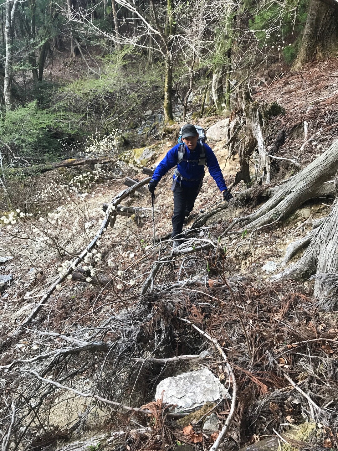 なかちゃんさんの投稿したフィールドメモ | YAMAP / ヤマップ