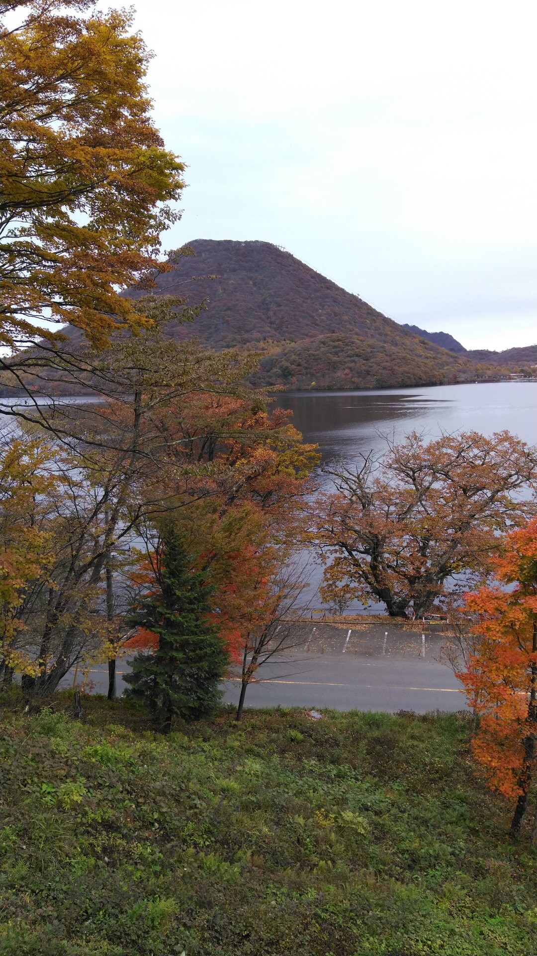 本日、雨予報なので紅葉狩りドライブに。｢... / Y-JJさんのモーメント | YAMAP / ヤマップ