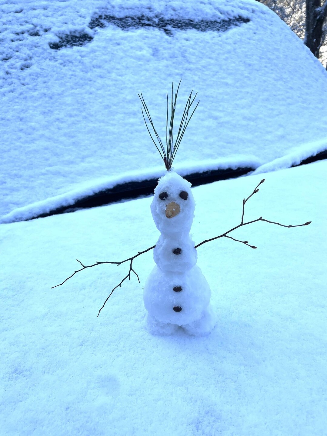 おはようございます。 昨日の夜は4時間位... / kooさんのモーメント | YAMAP / ヤマップ