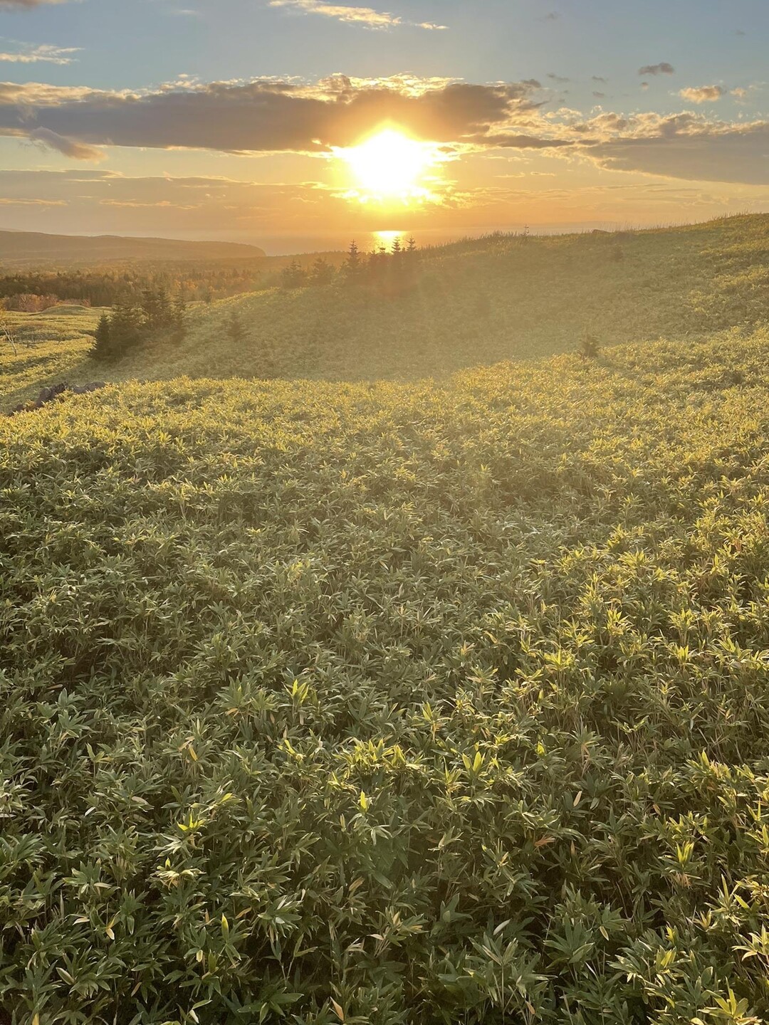 2022.10.18(火) 09:36 / ぶるさんのモーメント | YAMAP / ヤマップ