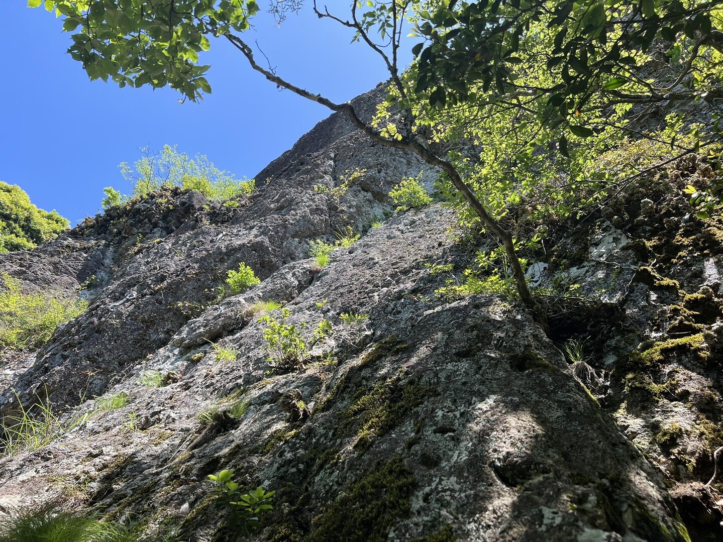 白滝山クライミング クライミングの先輩... / Genさんのモーメント | YAMAP / ヤマップ