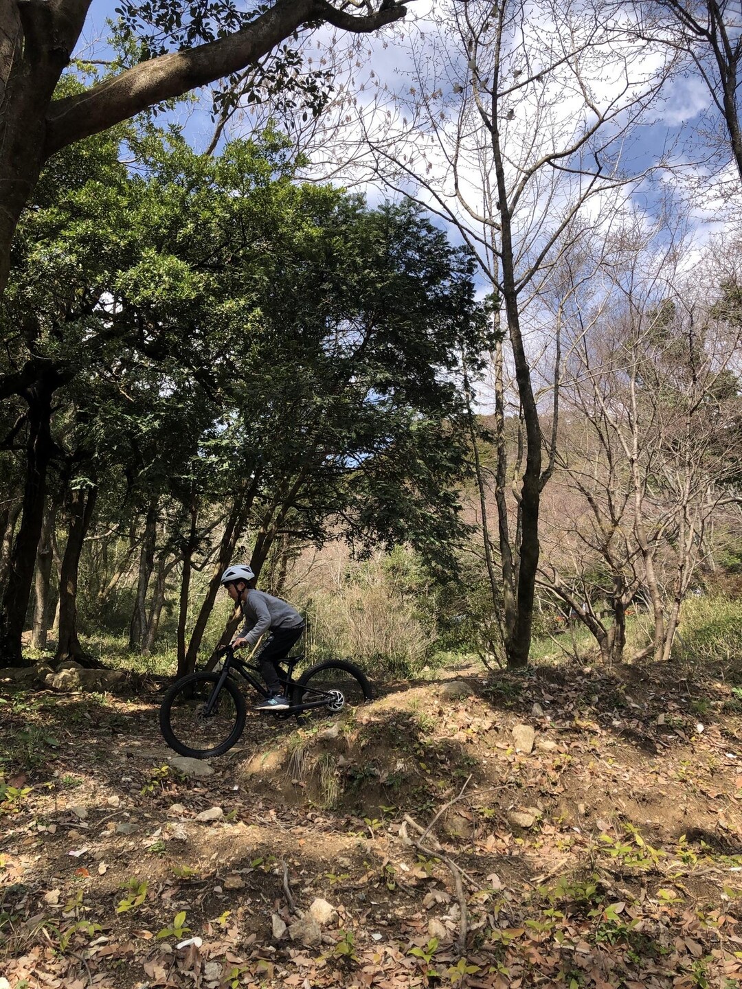 権現山🚴‍♂️トレイルアドベンチャー / mckeeさんの九千部山・石谷山の活動データ | YAMAP / ヤマップ
