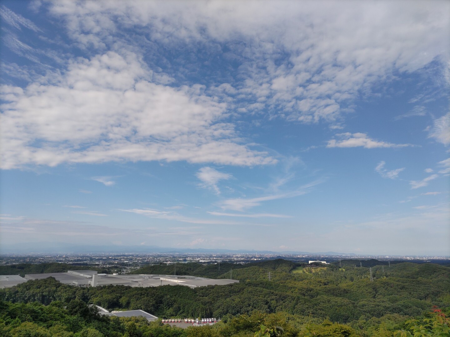 ゴリラ山・裏金勝山・金勝山 / kaneさんの官ノ倉山の活動データ | YAMAP / ヤマップ