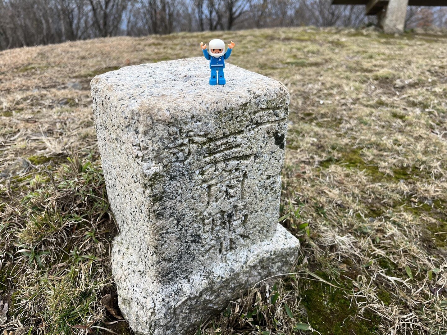 wow!yeah!大江山！ / ༺公星༻さんの大江山連峰トレイルの活動データ | YAMAP / ヤマップ