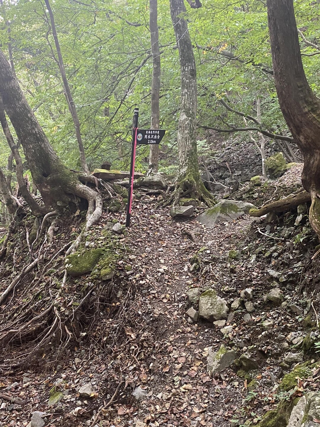 Moonkeyさんの投稿したフィールドメモ | YAMAP / ヤマップ