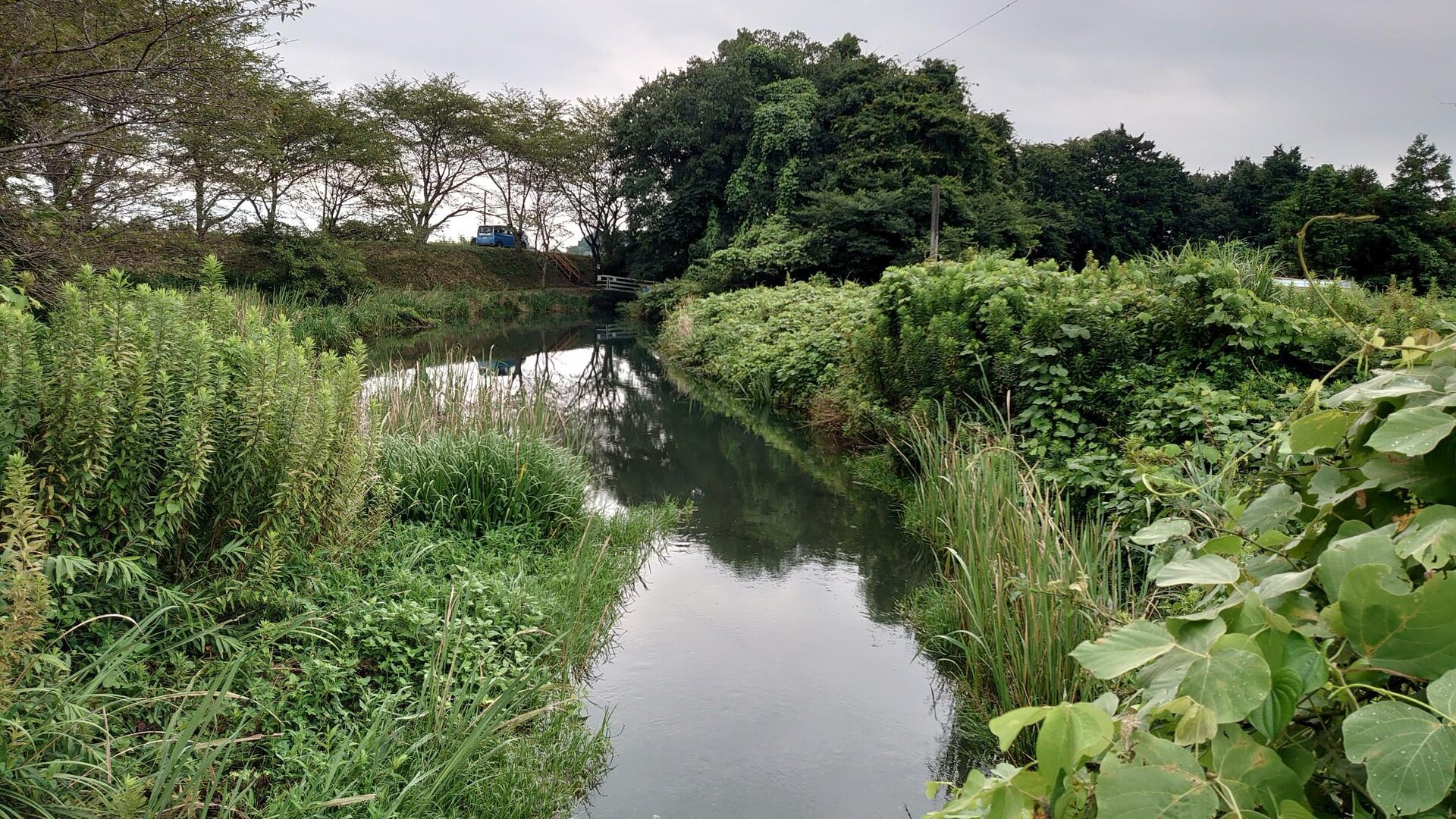 R_papaのページ | YAMAP / ヤマップ