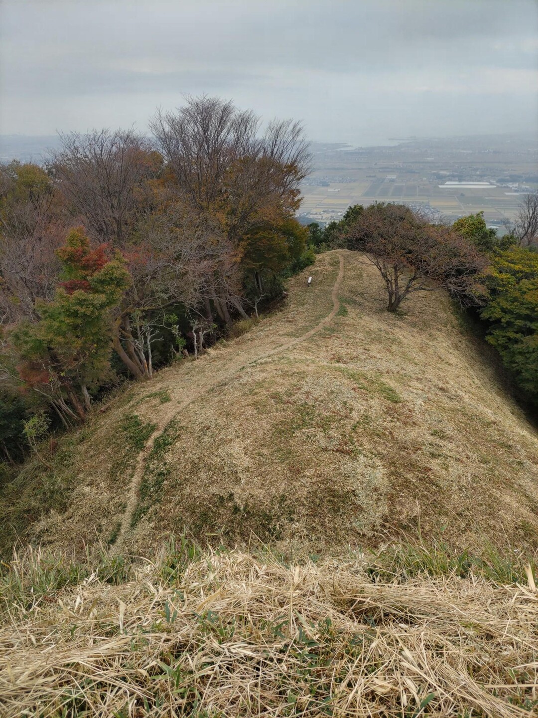 桝形山【312.3m】浄眼寺・浄眼寺裏側周回ｺｰｽ / さとちゃんさんの堀坂山・観音岳・桝形山（白米城）の活動データ | YAMAP / ヤマップ