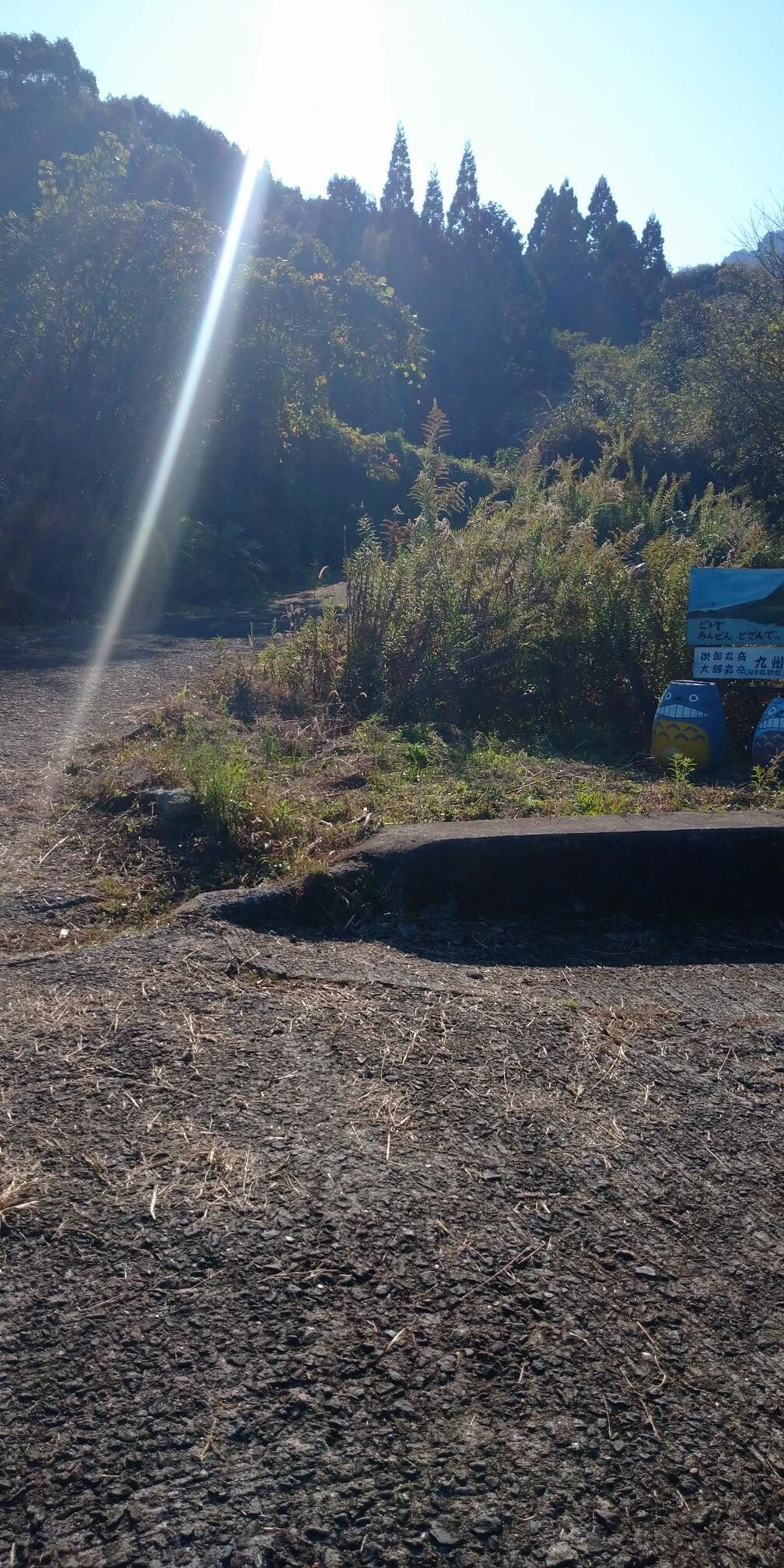 たぼちんさんの投稿したフィールドメモ | YAMAP / ヤマップ