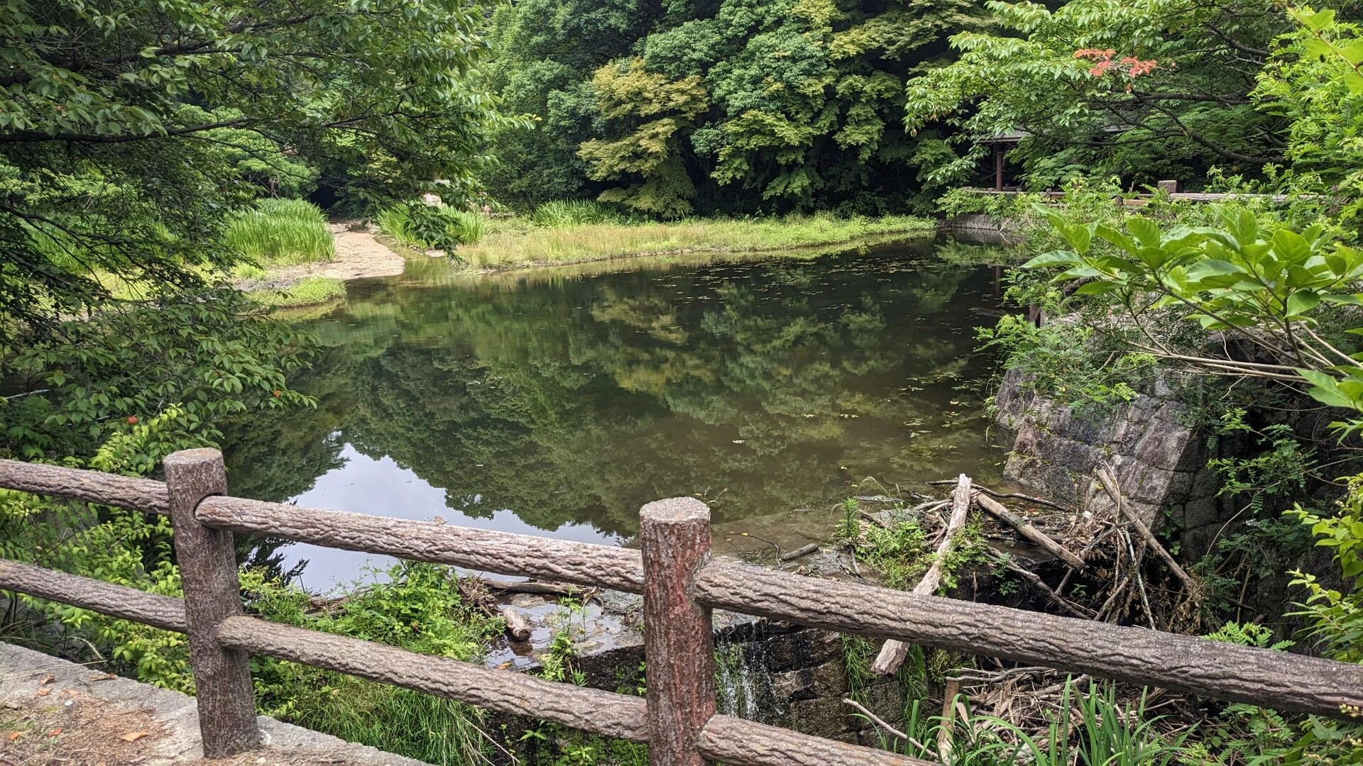 2023-06-24 オンタケ練 二本松林道×3 / YUDAI/BIGさんの六甲山・長峰山・摩耶山の活動データ | YAMAP / ヤマップ