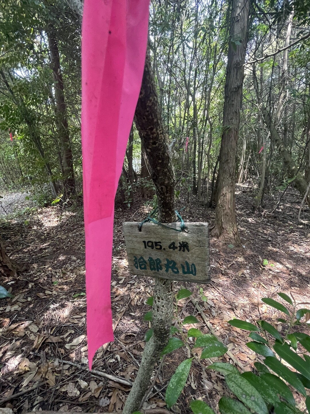 治郎丸山 / JBT会員番号5さんの花尾山の活動データ | YAMAP / ヤマップ