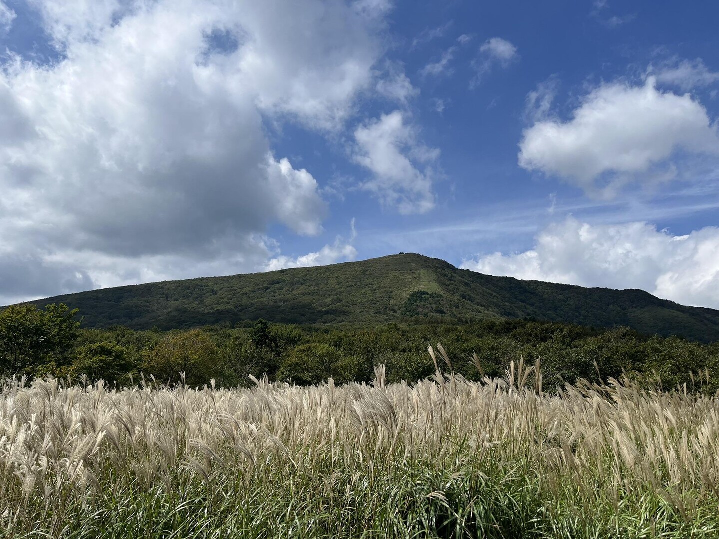 吾妻山 / issaさんの比婆山・立烏帽子山・吾妻山の活動データ | YAMAP / ヤマップ