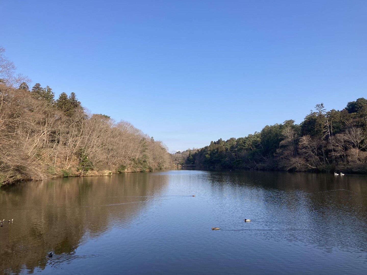 おはようございます^ ^ 風は少し吹い... / OBsunさんのモーメント | YAMAP / ヤマップ