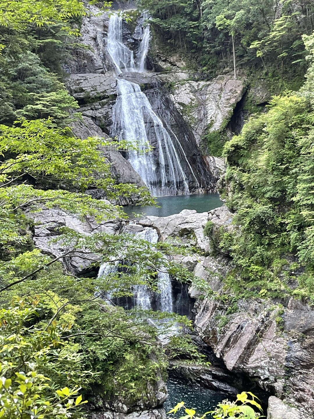 大杉谷 2日目 大台ケ原に向いて行く 第... / haruさんのモーメント | YAMAP / ヤマップ