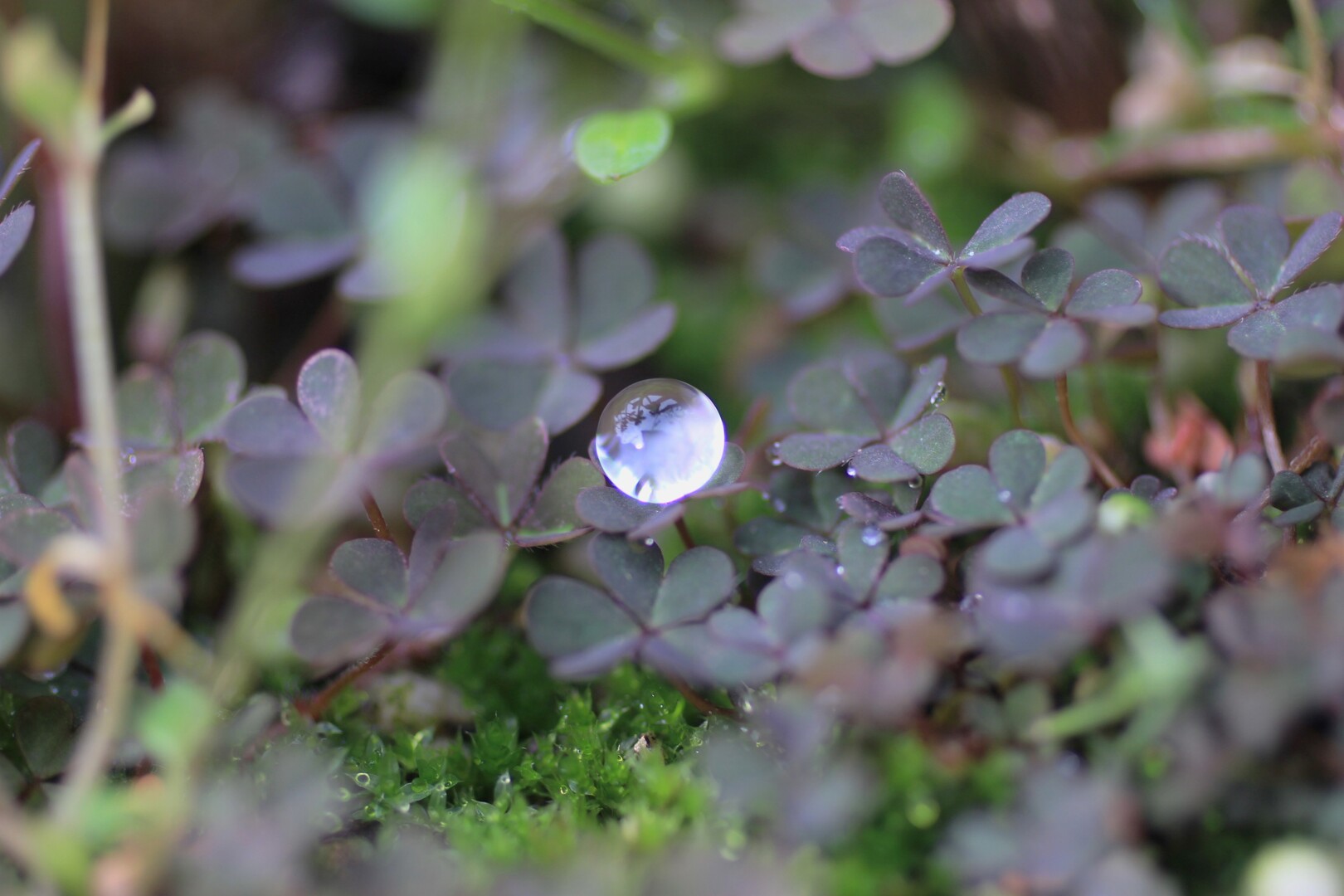 下界は良い天気♪ / bptanakaさんのモーメント | YAMAP / ヤマップ