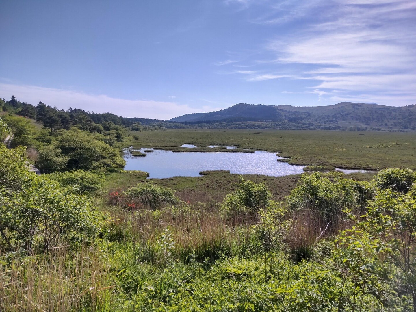 蝶々深山・霧ヶ峰（車山） / Yuuさんの霧ヶ峰・車山・大笹峰の活動データ | YAMAP / ヤマップ