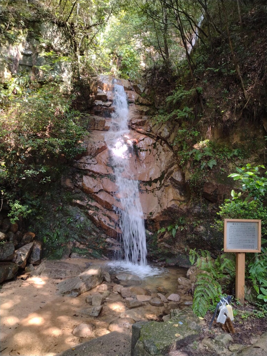 アロハパパのページ | YAMAP / ヤマップ