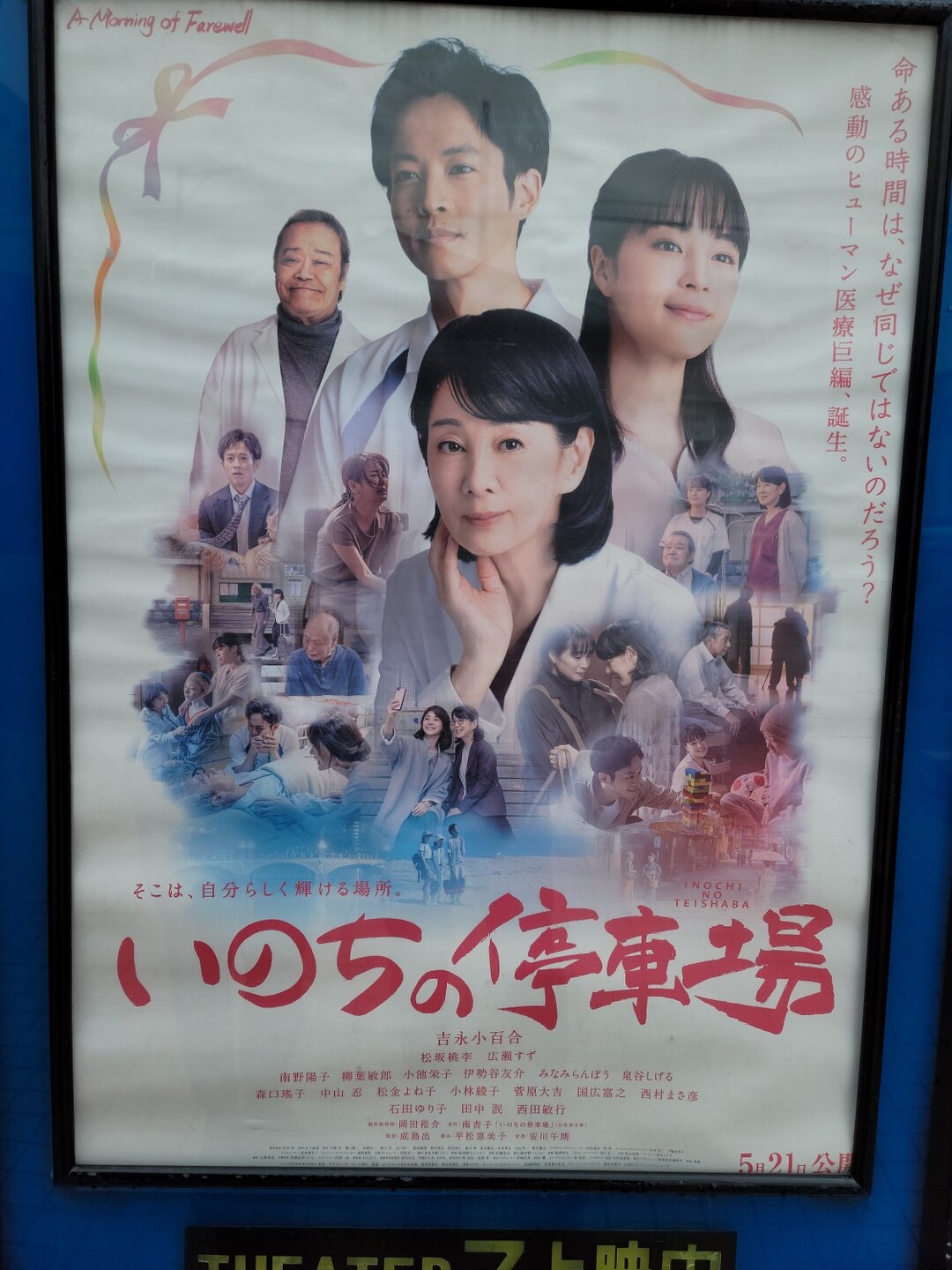 本日は 五月雨😱😱相棒と映画そして春... / kumasakiさんのモーメント | YAMAP / ヤマップ