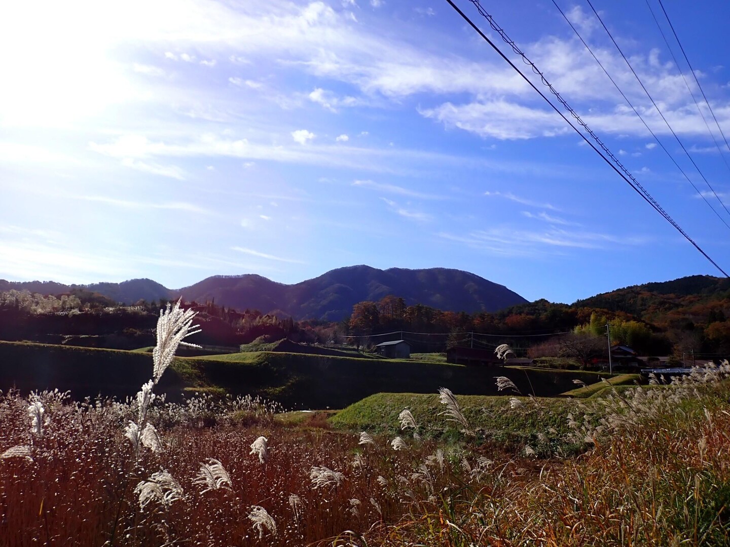 -初- 鯛ノ巣山 / yamaさんの猿政山の活動データ | YAMAP / ヤマップ