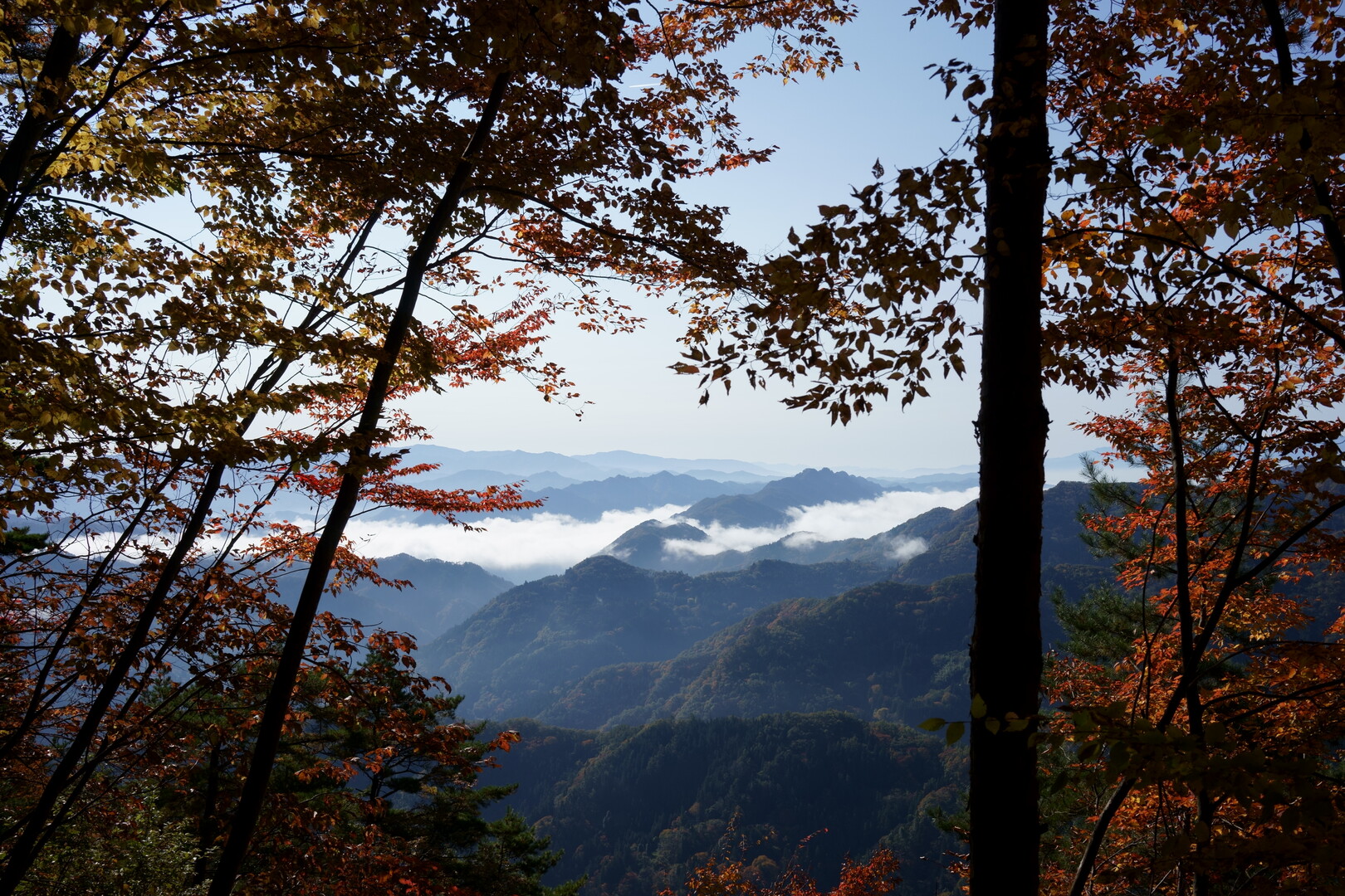 大姥山 / chamokichiさんの大姥山の活動データ | YAMAP / ヤマップ