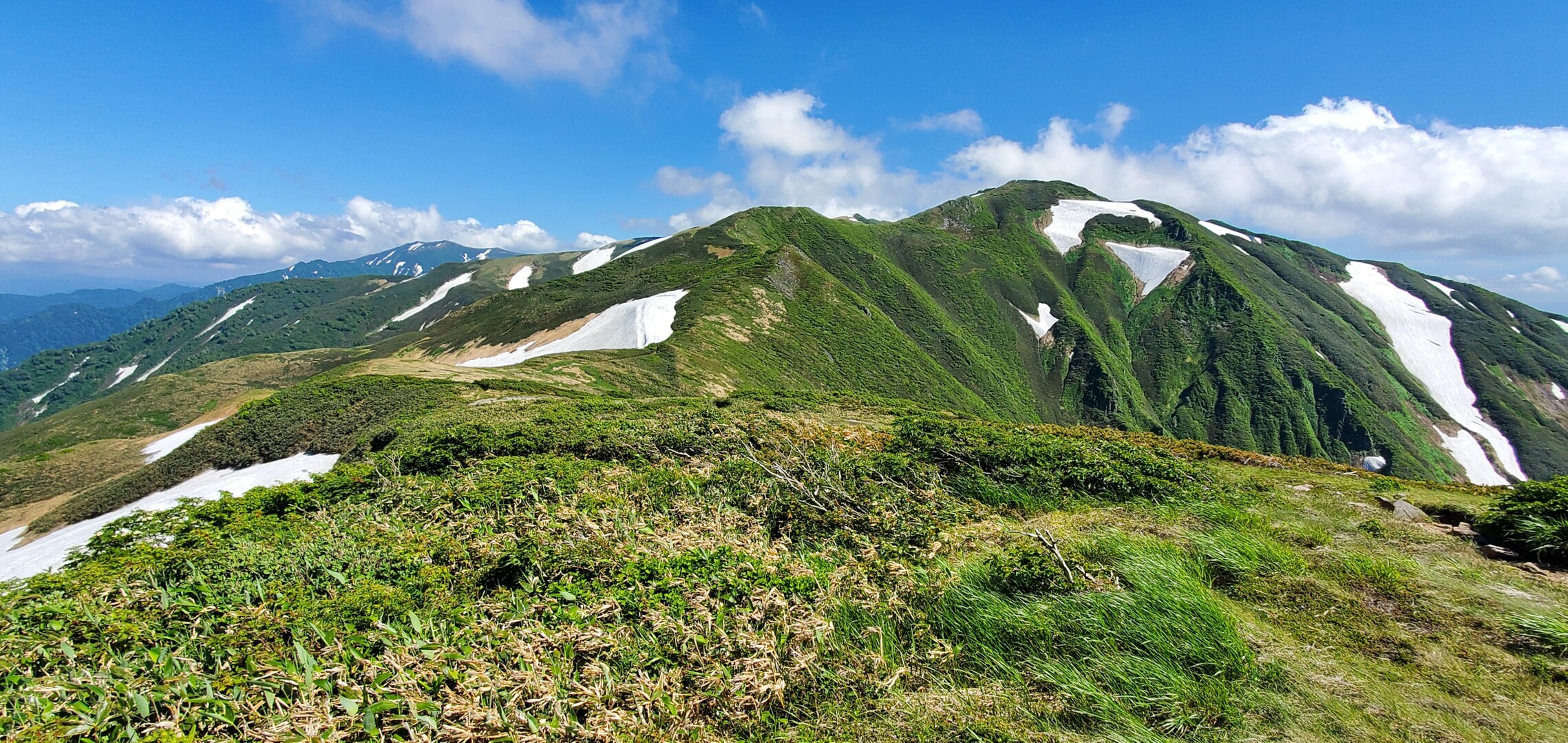 北飯豊・頼母木山 2024-06-19 / sakaさんの朳差岳・鉾立峰・大石山の活動データ | YAMAP / ヤマップ