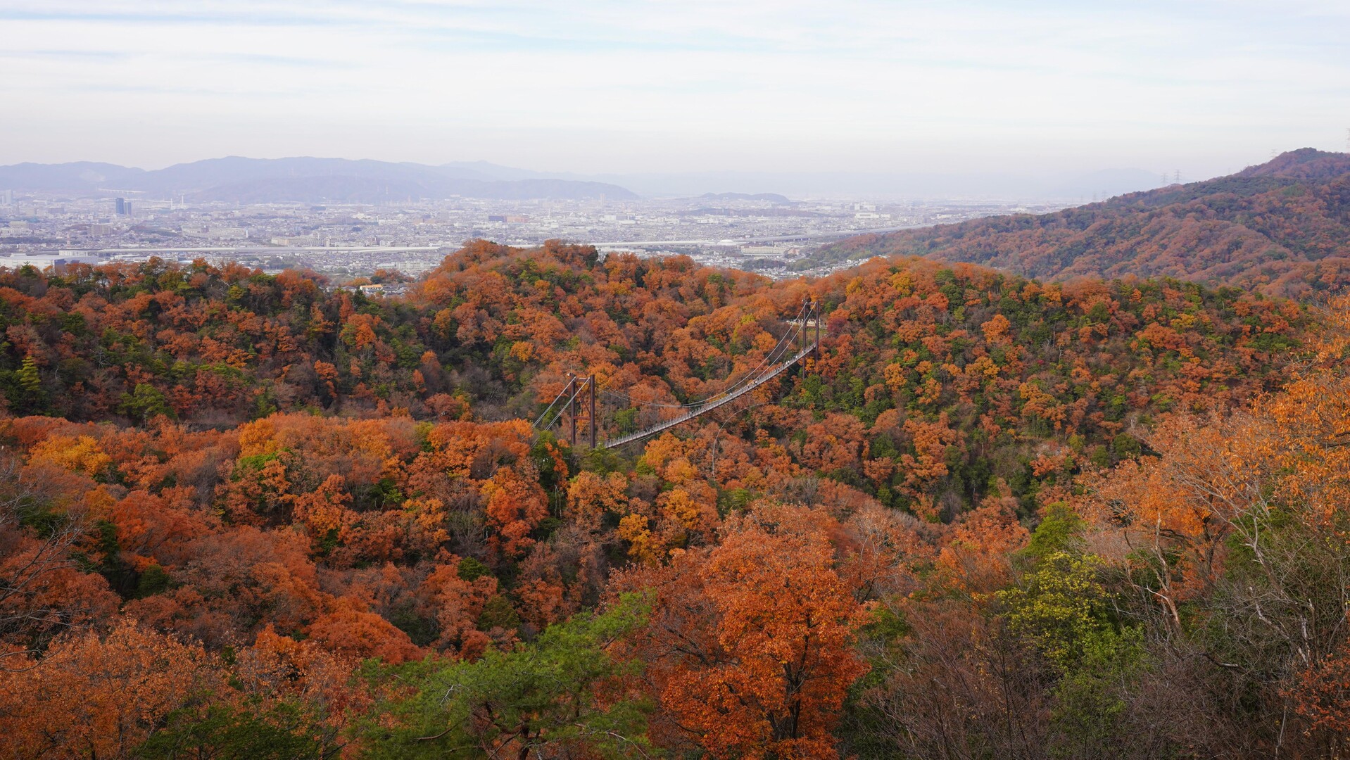 大阪交野「星田連山」、Peakラリー 60座完登 / mats(まっつ)さんの交野山・国見山の活動日記 | YAMAP / ヤマップ