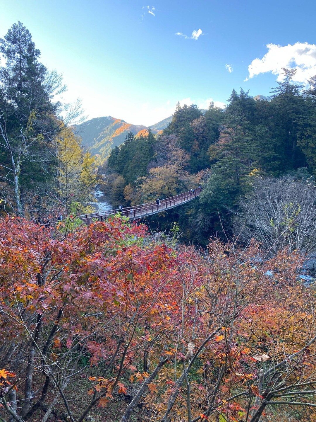 秋川渓谷と城山 / toruさんの大岳山・御岳山・御前山の活動日記 | YAMAP / ヤマップ