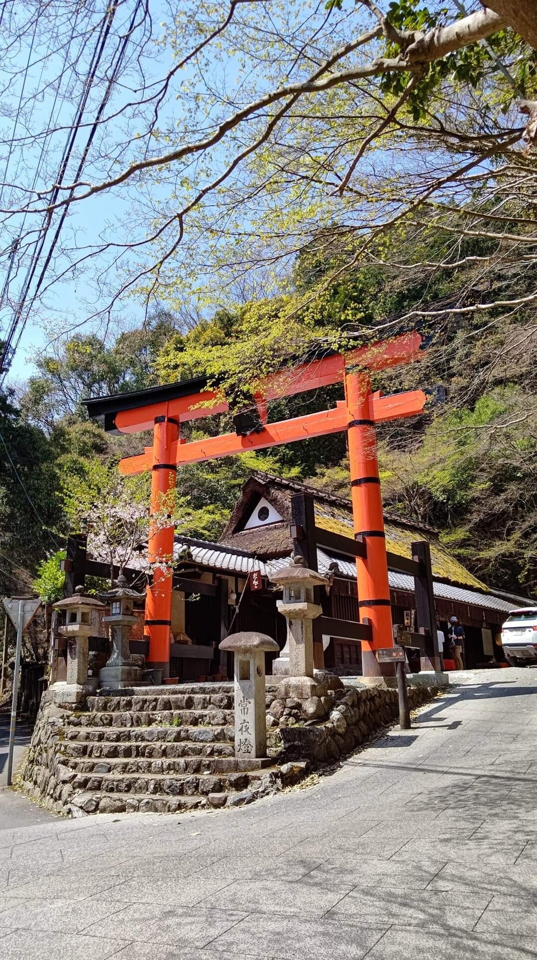 🎵 春暑しつたや会食いざ下山 悟空22... / kyoyamaさんのモーメント | YAMAP / ヤマップ