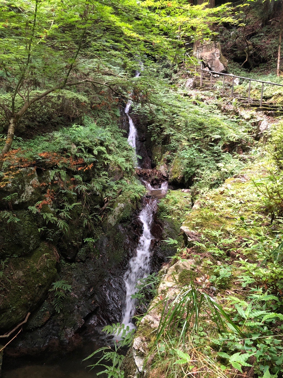 宇治田原の大滝-2021-07-25 / Miyumaさんの鷲峰山・釈迦岳の活動日記 | YAMAP / ヤマップ