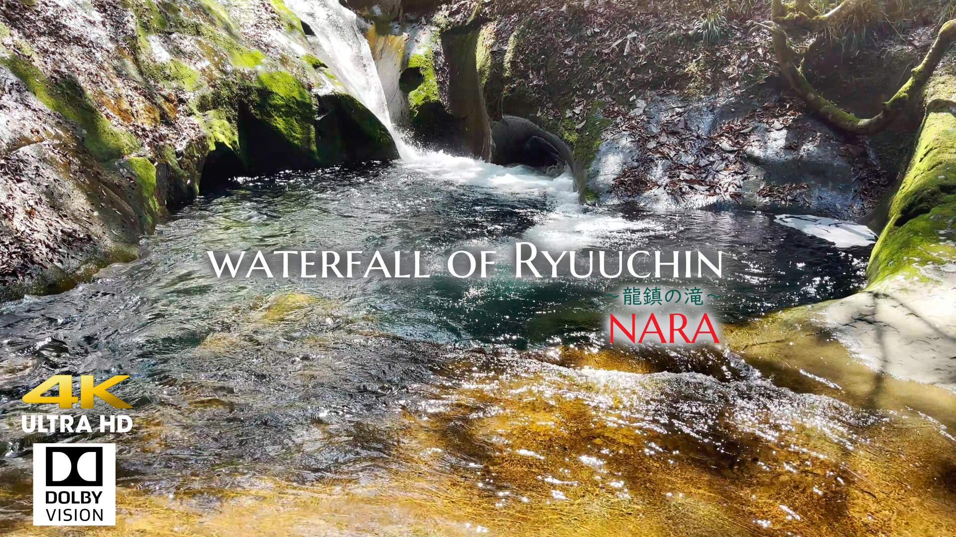 【自然音・癒し】奈良 3月 奈良にある竜... / KEIICHI TOYOTAさんのモーメント | YAMAP / ヤマップ