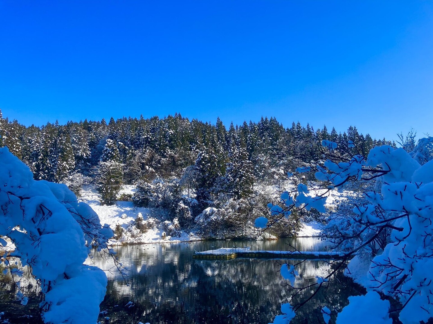 極上パウダー☃️ ︎金比羅山 / Naluさんの菩提寺山・高立山・護摩堂山の活動データ | YAMAP / ヤマップ