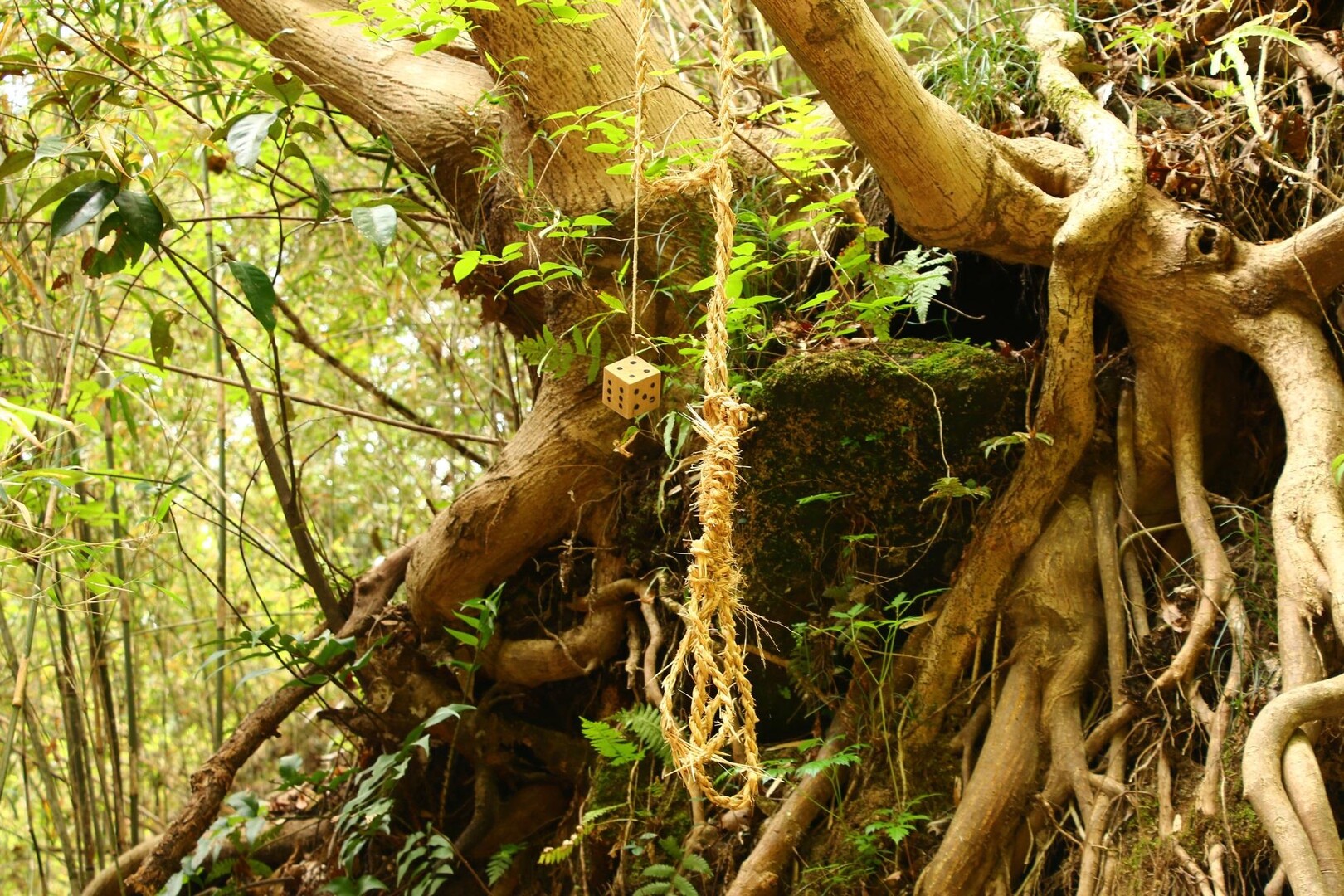 トビっち、かざっちぐるりっぷ😆 / KOH-Chanさんの梨沢・七ツ釜渓谷の活動データ | YAMAP / ヤマップ