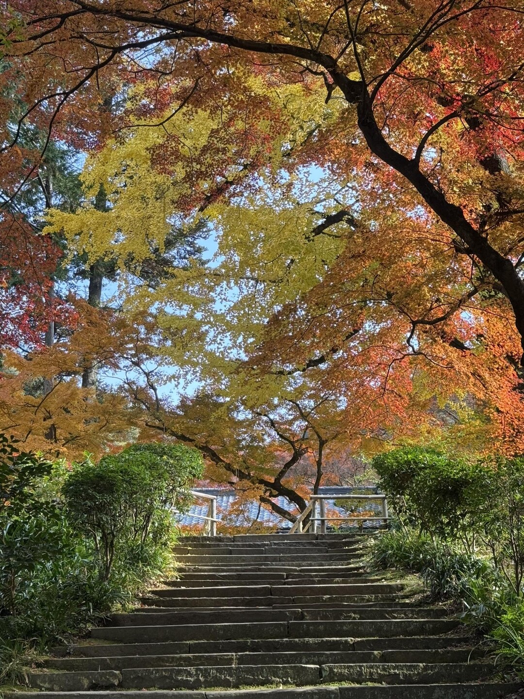 清水山・丸山・古僧都山 / OSHOさんの清水山・丸山・古僧都山の活動データ | YAMAP / ヤマップ