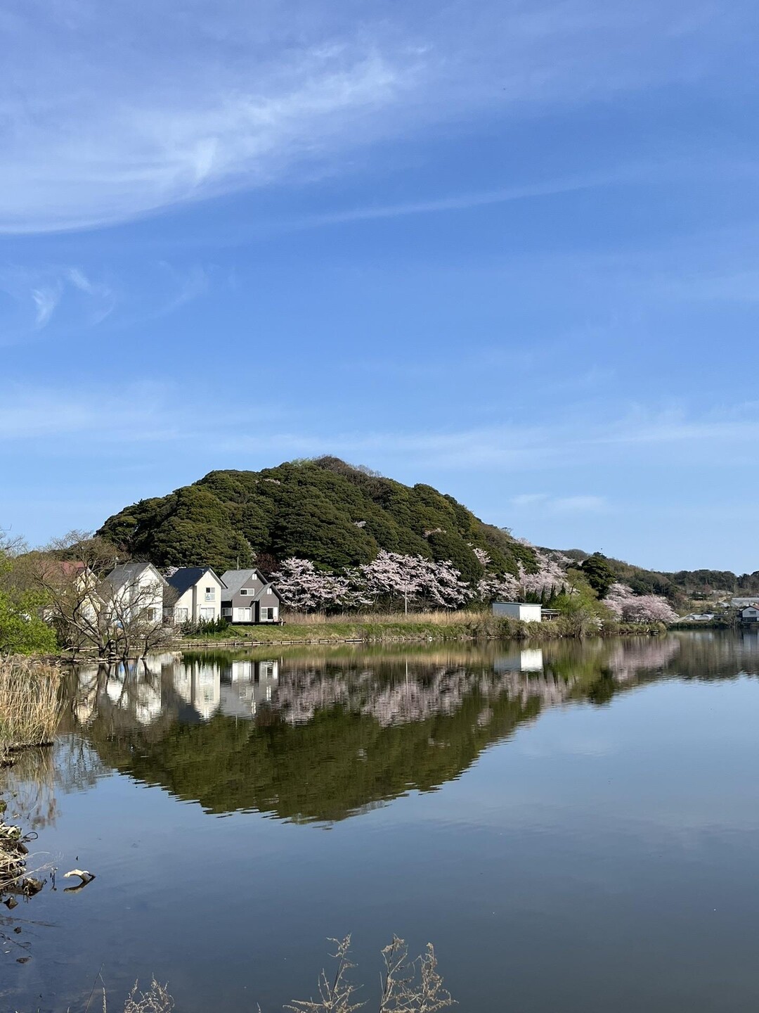 【朝活】離湖へ🌸とモーニング😋 / MIKOさんの高天山の活動データ | YAMAP / ヤマップ