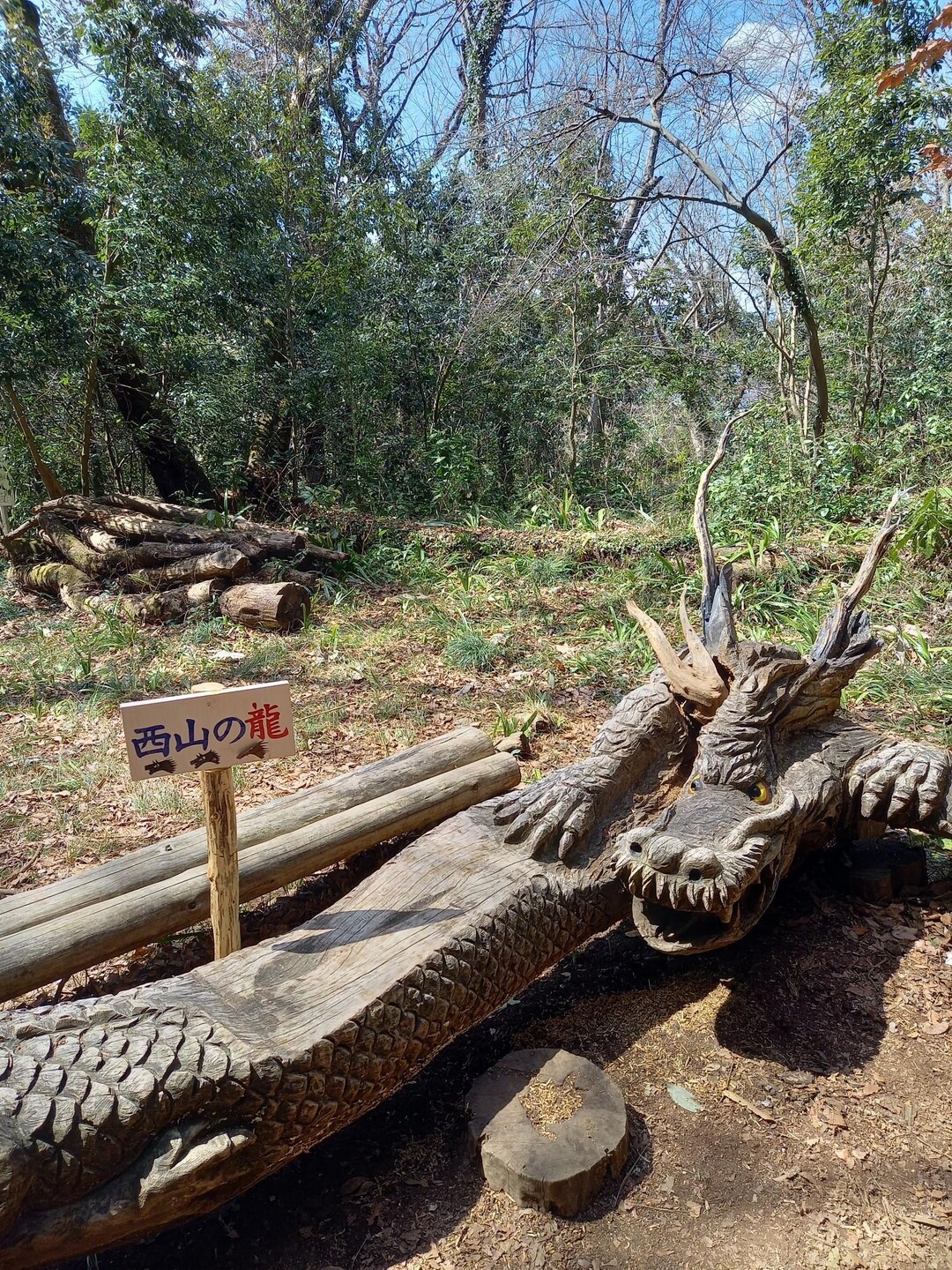 南高尾セブンサミッツ(時計回り) / ayakootaさんの高尾山・陣馬山・景信山の活動データ | YAMAP / ヤマップ